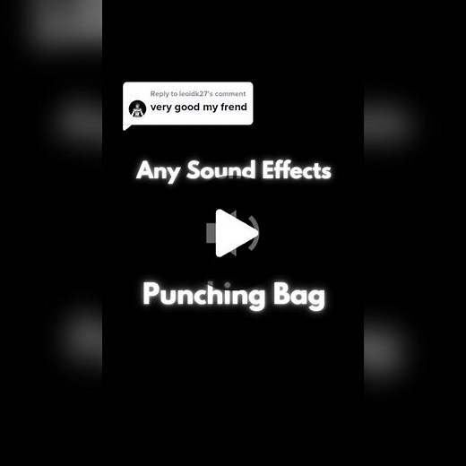 Replying to @leoidk27 Punching Bag #anysoundeffects #punchingbag #box #boxing #boxingbag