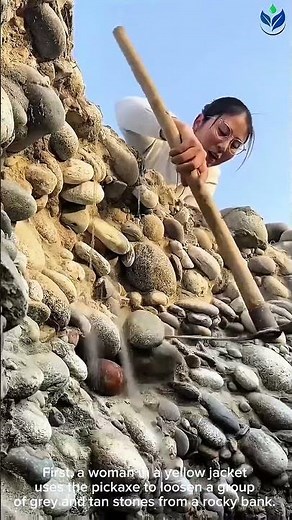The ART of Stone Collecting: Watch These Pros Dig for Beautiful River Rocks! ✨⛏️