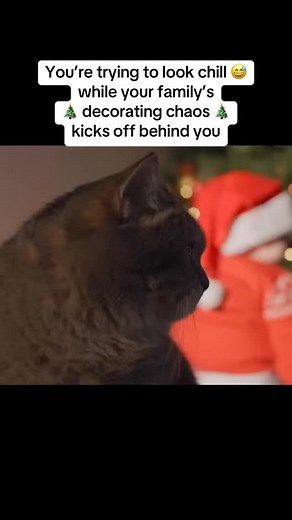 Trying to stay calm while the Christmas chaos hits. Streaming ‘At Christmastime’ all season long! #christmas2025 #christmasvibes #cats | Cory McAtee | Facebook