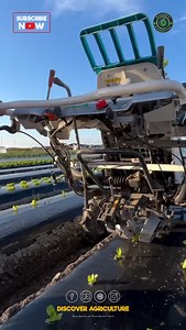 20K views · 104 reactions | Did you know that vegetable planting...