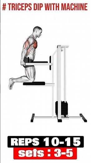 Triceps Dip Machine – Build Massive Arms Fast!