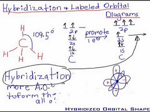 8. Hybridization: Part 1 - Hybridization and Labeled Orbital Diagrams