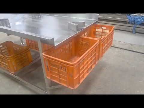 Fruit and vegetable sorting and grading table