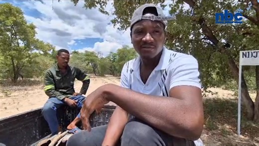 31K views · 411 reactions | NAMIBIA VOTES 2025 | Residents of the Okankolo Constituency in the Oshikoto Region are ready to vote come 26 November, but they are calling for meaningful changes after the elections to improve their living conditions. They will join the rest of Namibia in voting for regional and local authority councillors. Tonateni Haimbodi spoke to some residents. #NamibiaVotes2025 #NBCNews #nbcdigitalnews #nbcDSTV282 #nbcGOtv20 #nbcPlusApp | NBC Digital News | Facebook