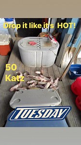 15K views · 58 reactions | Tomorrow is open for some now stop action! Whiskerfishing.com 214-403-4737 | Lake Tawakoni Whisk'R Fish'N Trophy Guide Service | Facebook