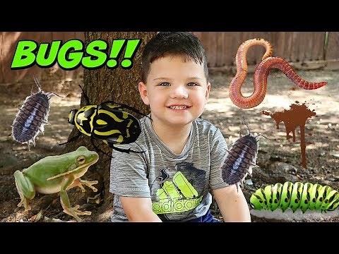 Kid Playing Outside In The Mud Making Mud Pies and Playing with Bugs