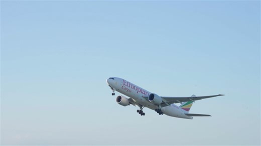 China's Xiamen has exported over 38 million cross-border e-commerce parcels via an air cargo route to Sao Paulo, Brazil, according to Xiamen customs. #GLOBALink | China Xinhua News