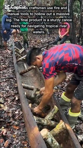 Crafting a Traditional Amazonian Canoe
