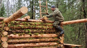 18K views · 395 reactions | Amazing Video Building an Off-Grid Log Cabin with My Team from Start to Finish - Step-by-Step Guide #bushcraft #survival #adventurer #wilderness #camping #bushcraftcamping | Complete Bushcraft | Facebook