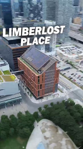 George Brown Polytechnic | Tall, timber, and future-built, Limberlost Place is not your average campus. See how this 10-storey, net-zero building is reshaping the... | Instagram