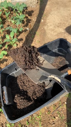 The Compost Kitchen | Spade vs shovel. Have you been using them correctly? | Instagram