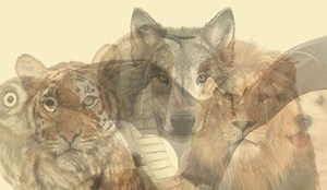 Psiho test: Koju životinju ste prvo videli na slici, to otkriva vaše najdublje TAJNE