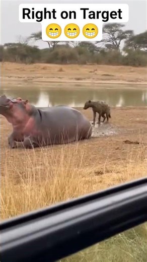 Right on Target 😁😁😁😁#shorts #viralshort