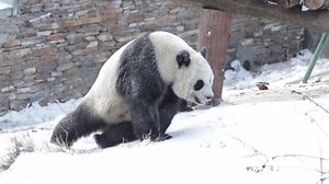 Motion is the productivity and focus tool that thousands of top performers use to stay focused and avoid distractions. | Motion