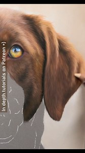 Here are a few snippets of Rum's portrait. The last of the three Labradors in this pastel drawing. Lots of layers and use of subtle colours 😍. I often mention the importance of layering and these few clips show how building them up gradually is a great technique for capturing lots of depth when drawing fur. - - - 14" x 26" pastel portrait Reference photos my own | Zara's Pet Portraits & Wildlife Art