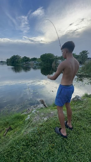 Lazaro guerra. "check this out!” on Instagram: "Tried something new yesterday tossing the fly around, I still need a ton of practice that’s without a doubt but I’m steady getting a hang of it. Me & rocket slayed a hand full of peacock & he just had to observe each one before tossing em back in the water & when I didn’t have one on he was digging in the grass searching for bugs, crawfish or any little thing he can feed on. Love this little dude.😎"