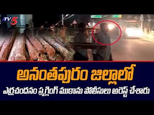 AP Police Arrested Red Sandalwood Smuggling Gang In Anantapur |Red Sandal| TV5 News Digital