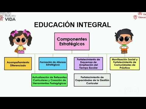 PROGRAMA DE TUTORÍAS PARA EL APRENDIZAJE Y LA FORMACIÓN INTEGRAL (PTAFI 3.0)- Formación Integral.