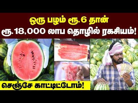 Summer Business Idea: குறைந்த முதலீட்டில் தொழில் தொடங்க | நடுத்தர மக்களுக்கு நல்ல ஐடியா| Watermelon🍉
