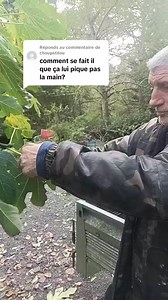 1.2M views · 9.4K reactions | [ASTUCE MERVEILLEUSE DE LA NATURE]...
