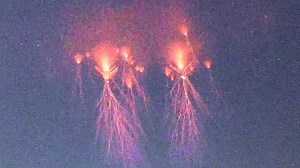 Storm chaser gets surreal photo of jellyfish-like lightning sprite over Oklahoma