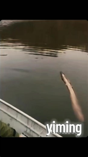 #CapCut #chenyiheng_陈奕恒 #chenjunming_陈俊铭 #tffamily4thgeneration🇨🇳🇨🇳 #yiming🐰✨