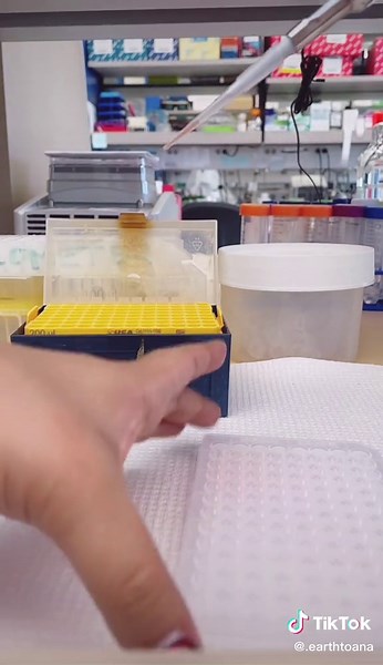 Counting 42 Samples of Cell Culture in Microbiology