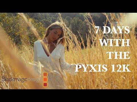 7 Days With The Pyxis 12K | Footage Only