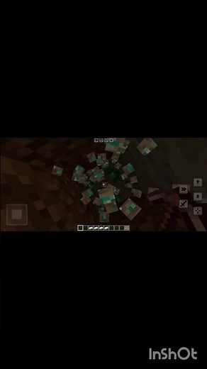 dancing parrot minecraft