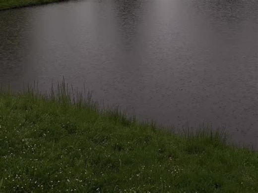 JONATHAN RANG on Instagram: "💚 #7onqthqn #nature #realreal #germany #aesthetic #real #naturecore #reels #relatable #deutschland #rain #rainydays #natureofinstagram #naturereels"