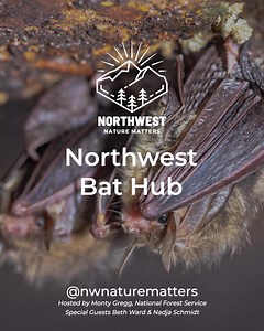 This month, Monty and Jess learn all about bats! Bat Biologist Nadja Schmidt and Northwest Bat Hub Coordinator Beth Ward speak on the Hub’s monitoring initiatives, priorities, and partnerships. #podcast #nature #bats #oregon #wildlife https://nwnaturematters.libsyn.com/northwest-bat-hub | Oregon Wildlife Foundation