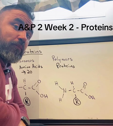 Vincent Nerone on TikTok