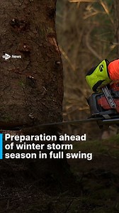 29K views · 73 reactions | A team of tree cutting experts have begun preparations for the coming winter. More than 30 arborists took part in an exercise to tackle forestry felled by high winds and helped to keep electricity supplies switched on. https://i.stv.tv/4eoovjx | STV News | Facebook