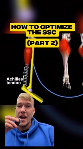 Dr. Ben Moxness | Jump Training & Athletic Performance | Optimizing the SSC with pre-tension, co-contractions, & the stretch reflex (more on this later). Keep in mind these are UNCONSCIOUS... | Instagram