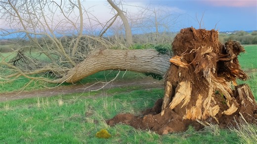 Storm Damage, New Fencing & Barn Solar Tips