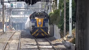 38K views · 1K reactions | SOUND UP - Quad T Class Diesel Locomotives hauling freight a few years ago here in Victoria. #train #railroad #railway #railfan #freighttrain #tclasslocomotive | Schony747 Youtube & DVD | Facebook