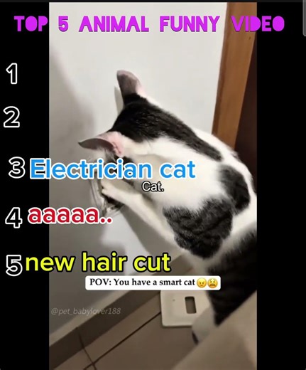 Get ready to laugh! 😂