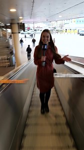 18K views · 75 reactions | Hlasivky, plyšáček, nebo auto… Co byste pro titul  oblíbeného týmu obětovali vy?  #TELH | #playofffans | #zatitulem | Tipsport extraliga | Facebook