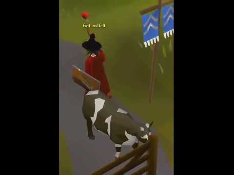 THE FIRST STEP TO SUCCESS! What you should do when arriving in Lumbridge.