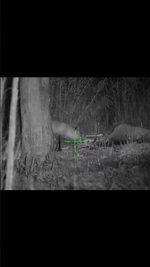 2025 WINTER COON AND FOX CONTROL ATN NIGHT VISION HUNT