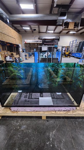 146K views · 1.1K reactions | Jason's favorite part of building a Custom Aquarium   Happy Halloween, everyone  #Halloween #HappyHalloween #aquarium #aquariums #fishtank #fishtanks #fish #aquascaping #fishkeeping #aquariumhobby #aquariumengineering #aquariumsofinstagram #adamsspecialtyproducts #customaquariums | Custom Aquariums | Facebook