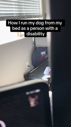 Running with a Service Dog: Bed to Treadmill Training