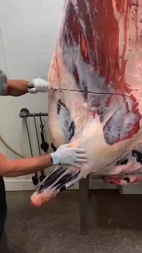 #steak #Steakhouse #steakporn #steaks #steakvideos #steakdinner #steaklover #steaktime #steaknight #steakandeggs #steakinn #steaktartare #steaklovers #steaksandwich #steakhouseassado #steaklife #steaknshake #steakheaven #steakandcheese #steakfrites #steaktartar #steakfries #steakworld #SteakBarSushi #steakburger #STEAKSAUCE #steaksalad #SteakTacos #steakandlobster #SteakandPotatoes | Alpine Butcher