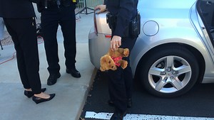 Abuse victims can fight hacking, stalking and tracking. Here's how