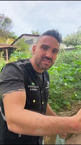 1M views · 109K reactions | Mais um resgate feito de animais que...