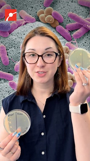 We tested the five second rule, and the microbes won. 🍎🦠 Alex Dainis shows us that even after just two seconds on a seemingly clean floor, bacteria were already on the move. Some bacteria have genes that produce sticky proteins and moisture-protecting coatings, allowing them to latch on fast. The verdict? Even a quick drop can lead to contamination. #Microbiology #Experiment #STEM #Bacteria #Science | Museum of Science, Boston