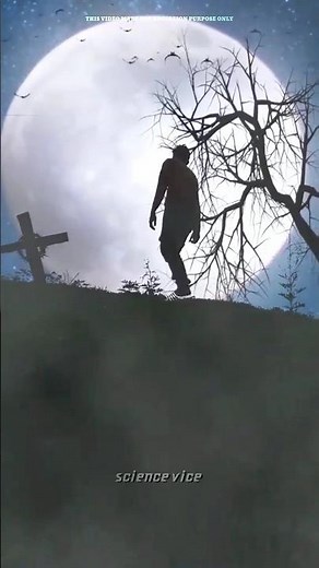 21 December The Longest Night of the Year!