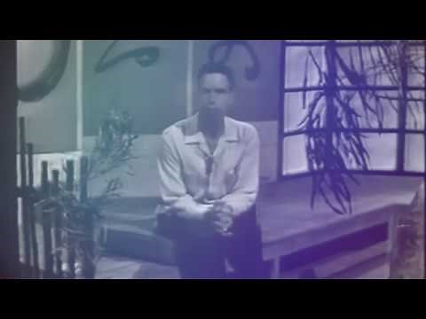 Alan Watts Lectures | The Life of Zen