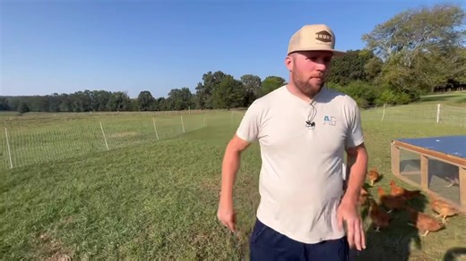 Here is how are raising our broiler meat chickens. We are using a chicken tractor and electric fence to allow our chickens to free range. Here are pros and cons of our setup #homestead #homestead #meatchickens #pasturedpoultry #broilerchicken #freedomrangers #raisingchickens #cornishcross #chickentractor #freerangermeatchickens #freerangebroilers #farmstead I earn commission when you use my links which helps support this content. EGG MOBILE CHICKEN COOP TRAILER DESIGN PLANS: https://tannerfarmst