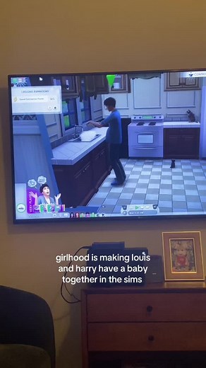 Harry And Louis' Sims Baby Adventure